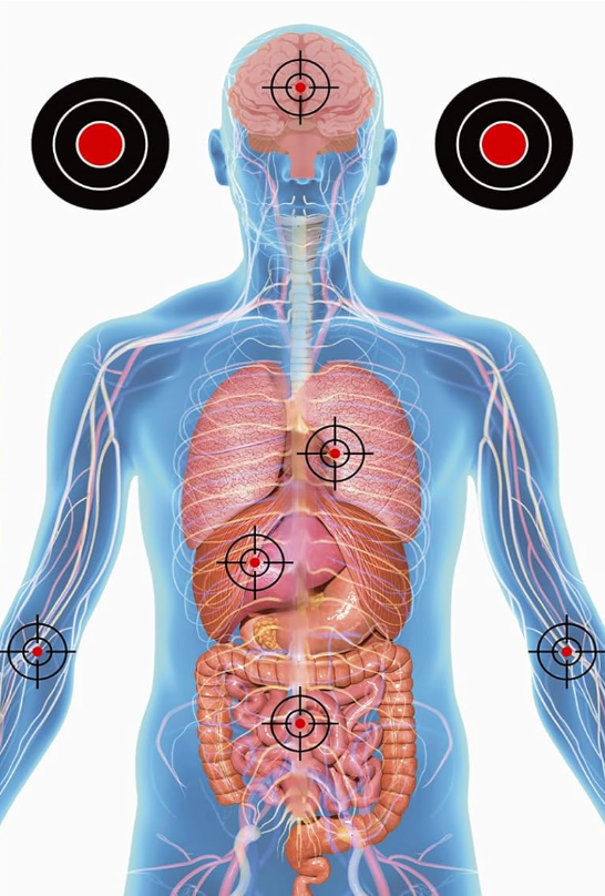 Medically Designed Human Silhouette Target- Stylish Style/23x35 ...