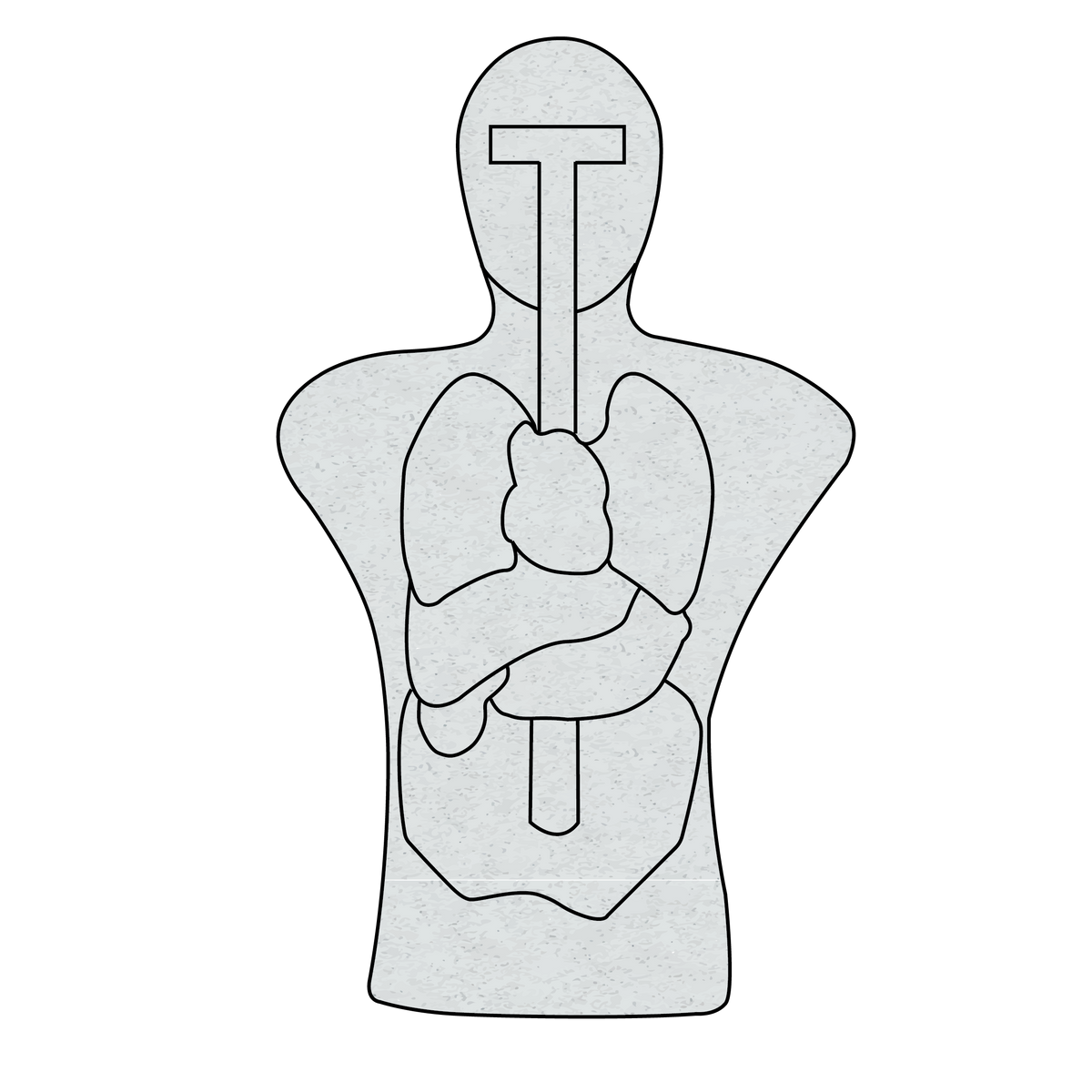 Infinity Torso Target - Anatomical — Targets Unlimited